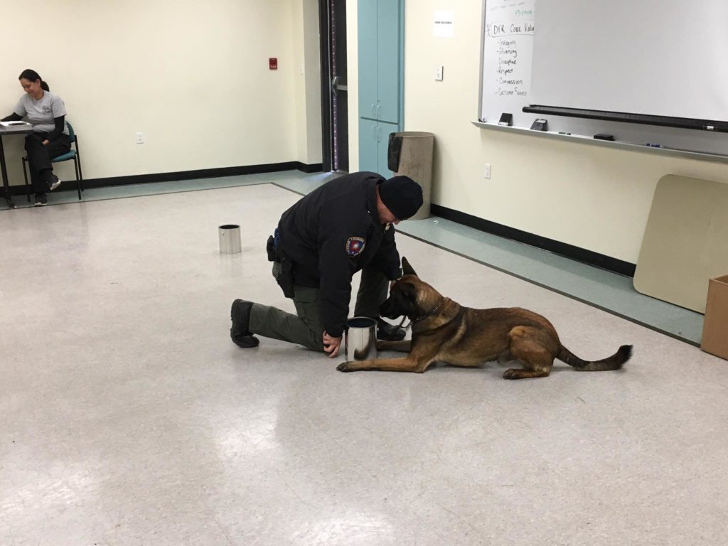 Fire Marshal’s K-9s are top dogs